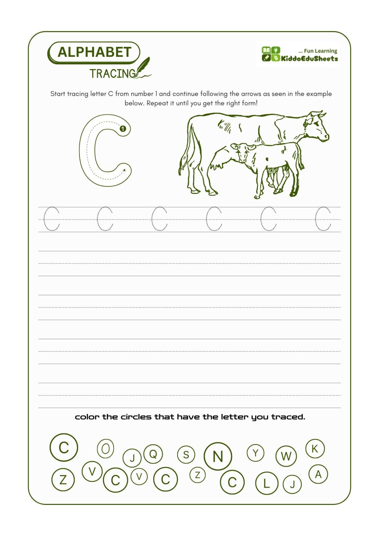 ABC Tracing Fun| Alphabet ABC(Capital Letters) - Kiddoedusheets